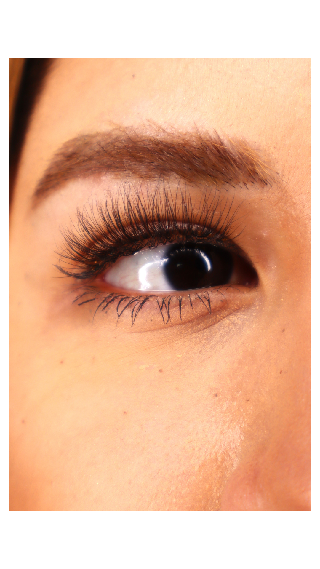 ***STOCKING STUFFER Private Jet Magnetic Lashes